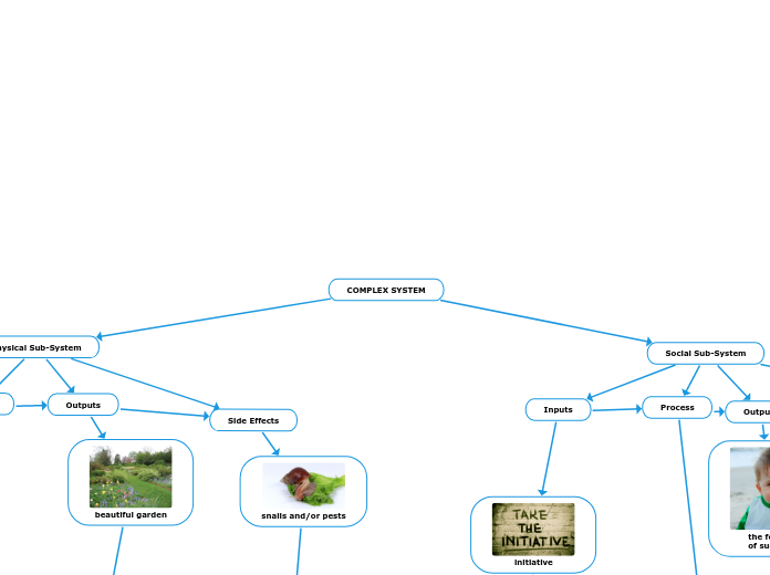 COMPLEX SYSTEM - Mind Map