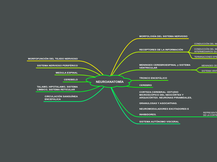 NEUROANATOMÍA - Mind Map