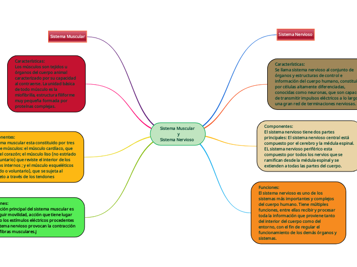 Sistema Muscular y Siste...- Mind Map