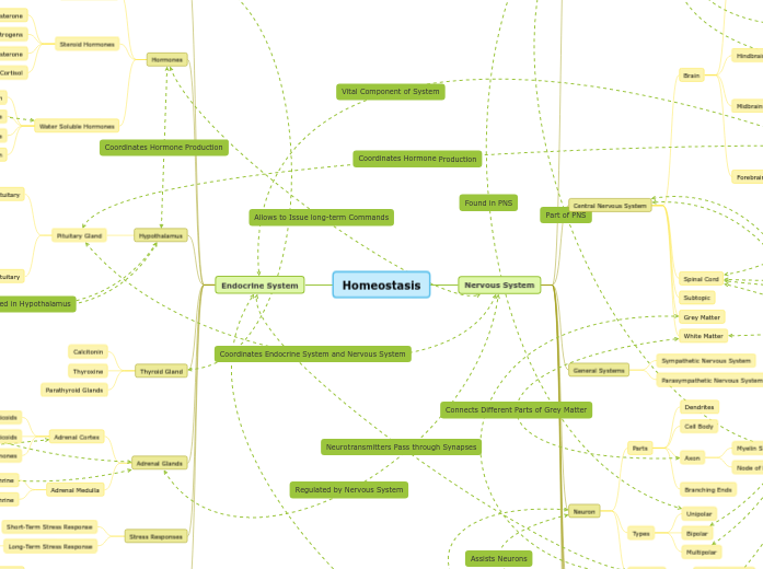 Homeostasis - Mind Map