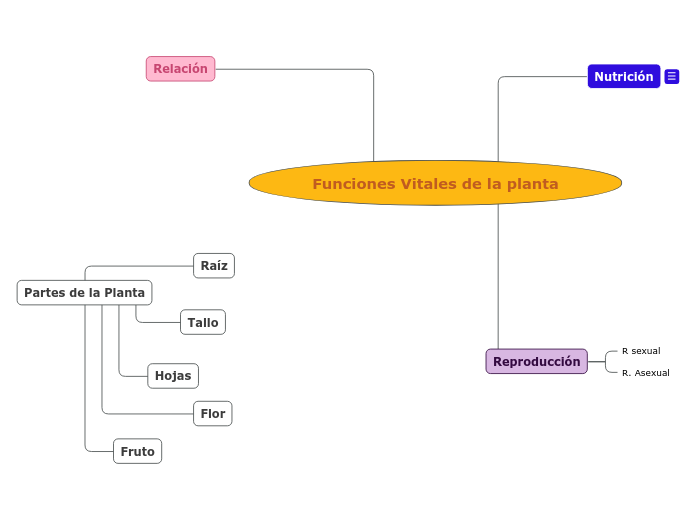 Funciones Vitales de la planta - Mind Map