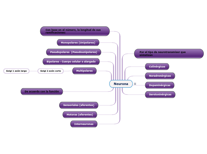 Neurona - Mind Map