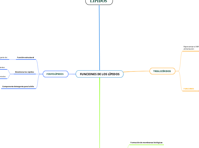 FUNCIONES DE LOS LÍPIDOS - Mind Map