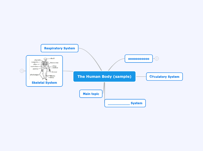The Human Body (sample) - Mind Map