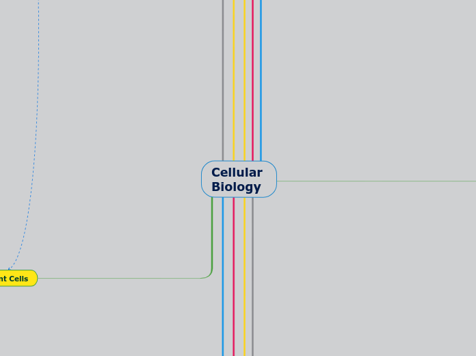 Cellular Biology - Mind Map