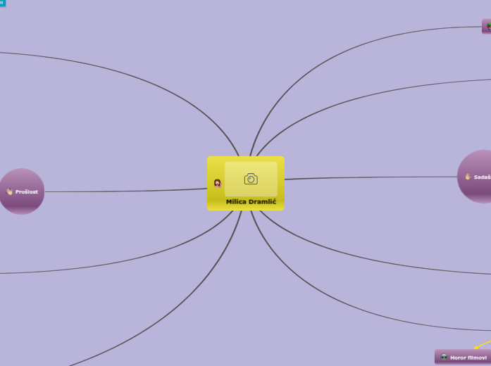 Moja prošlost i sadašnjost - Mind Map