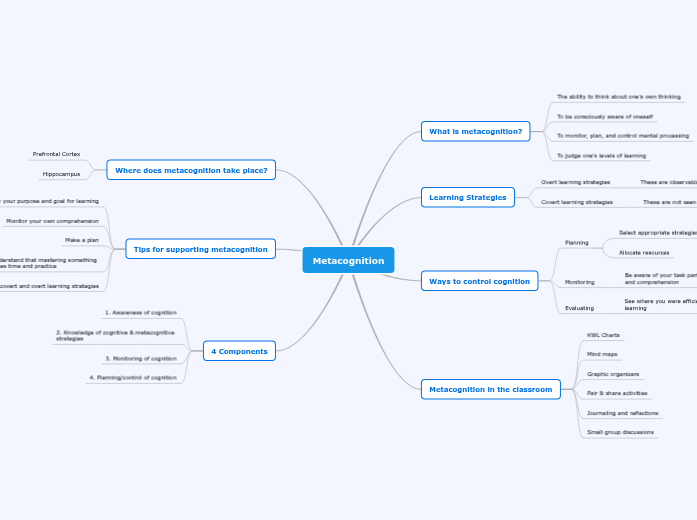 Metacognition - Mind Map