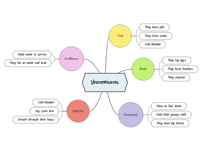 Vertebrates - Mind Map
