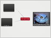 cocina solares - Mind Map