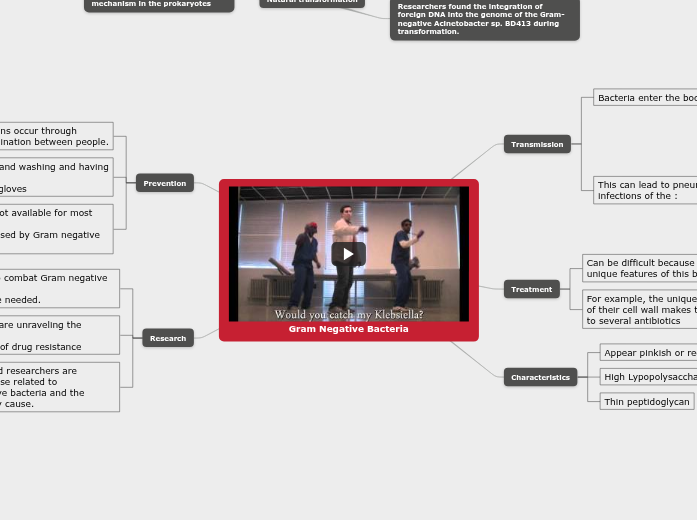 Gram Negative Bacteria - Mind Map