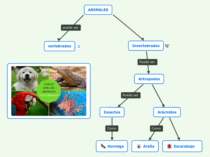 ANIMALES - Mind Map