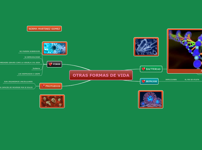 OTRAS FORMAS DE VIDA - Mind Map