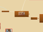Los gatos domesticos - Mind Map