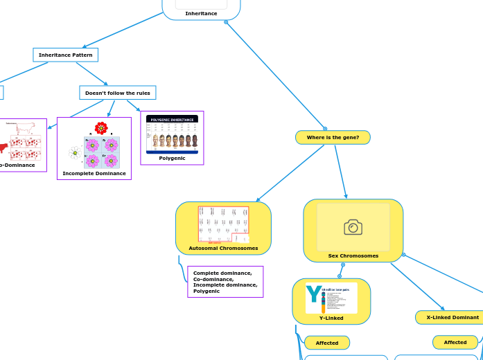 Inheritance - Mind Map