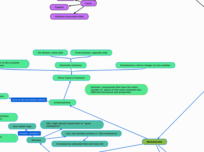 Unit 1 - Mind Map