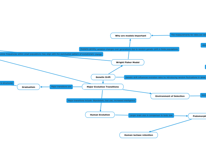 Genetic Drift - Mind Map