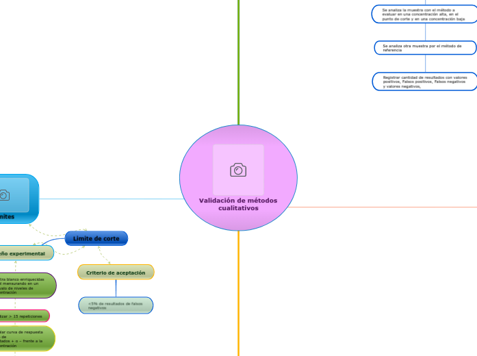 Validación de métodos cualitativos - Mind Map