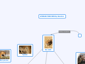 african food web - Concept Map