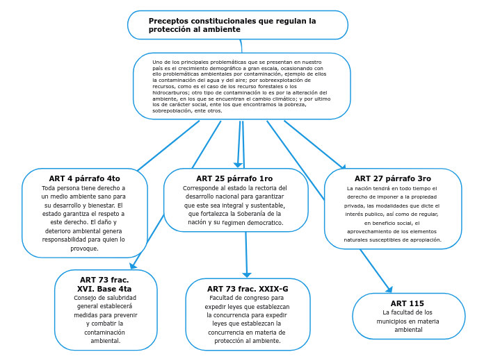 Preceptos constitucionales que regulan la ...- Mind Map