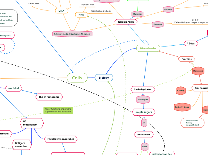 Biology - Mind Map