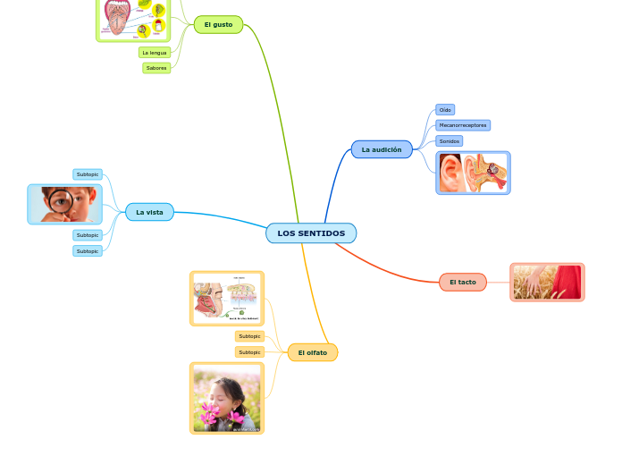 LOS SENTIDOS - Mind Map