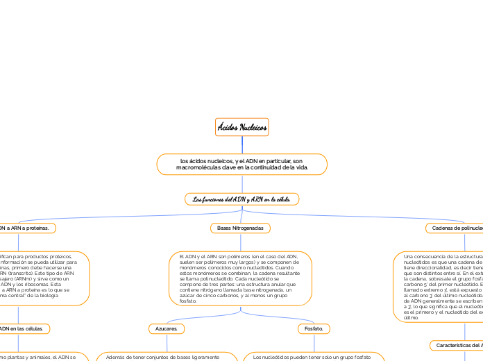 Ácidos Nucleicos - Mind Map