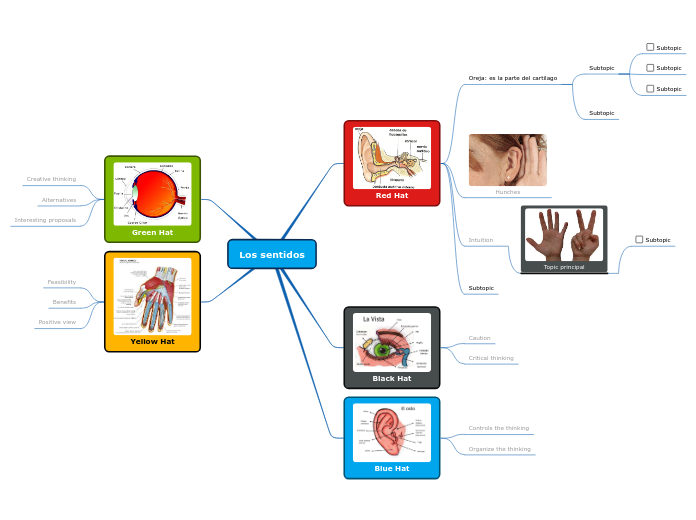 Los sentidos - Mind Map