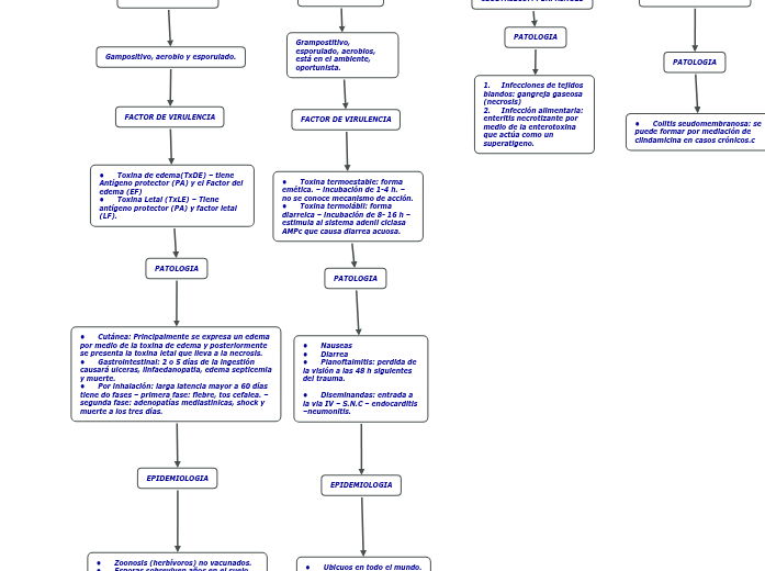 STAPHYLOCOCCUS - Mind Map