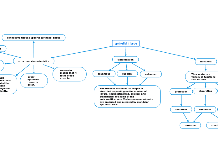 Epithelial Tissue - Mind Map