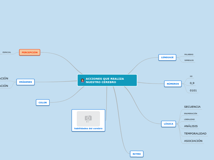 ACCIONES QUE REALIZA NUESTRO CEREBRO - Mind Map