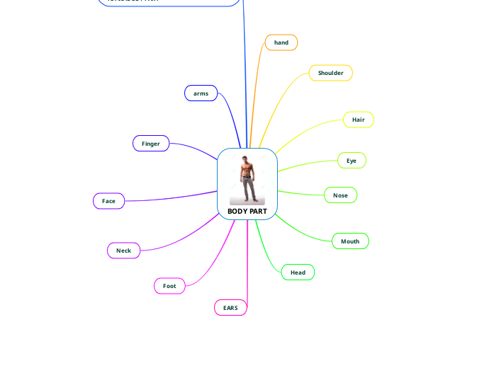 BODY PART - Mind Map