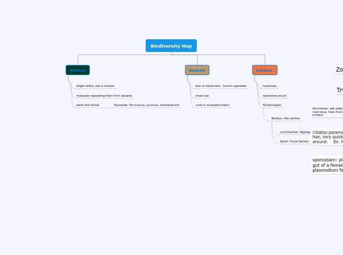 Biodiversity Map - Mind Map