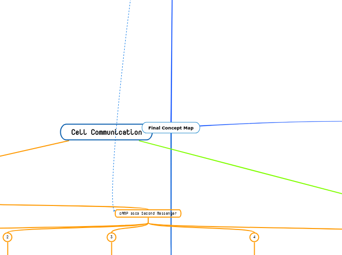 Final Concept Map - Mind Map