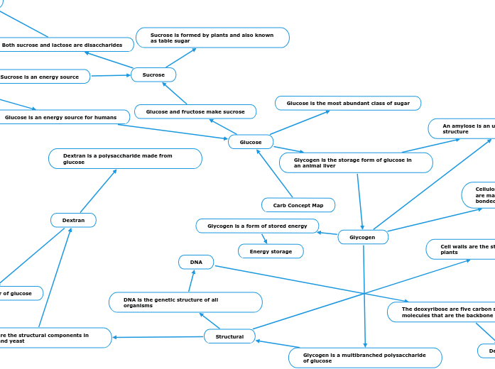 Carb Concept Map - Mind Map
