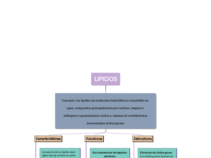 LIPIDOS - Mind Map