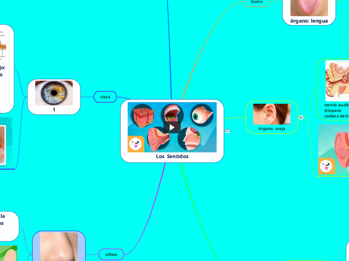 Los Sentidos - Mind Map