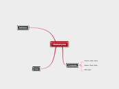 Homonyms - Mind Map