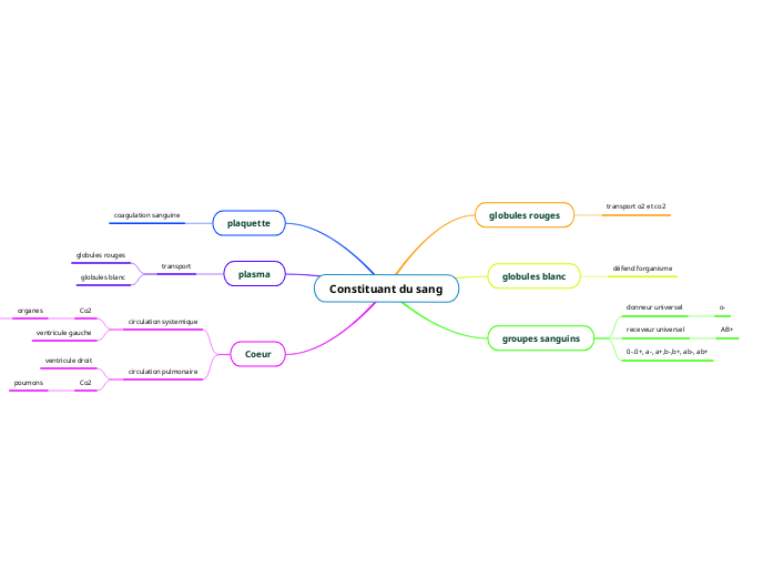 Constituant du sang - Mind Map