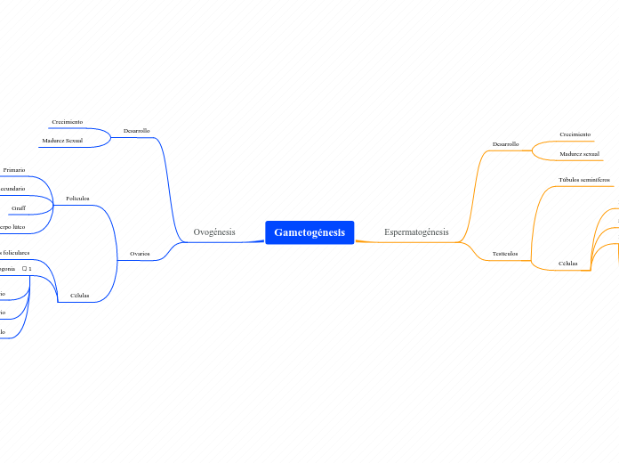 Gametogénesis - Mind Map