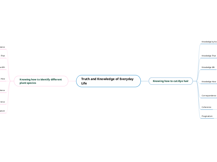 Truth and Knowledge of Everyday Life - Mind Map