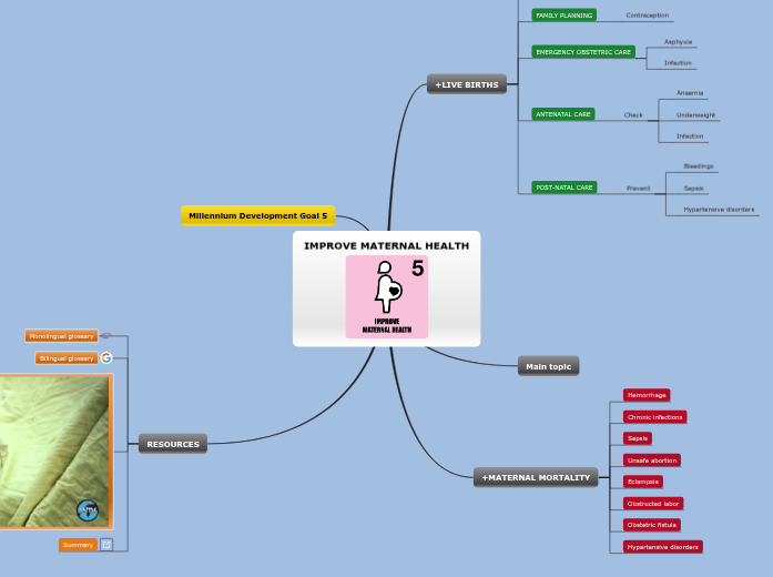 Maternal Health - Mind Map