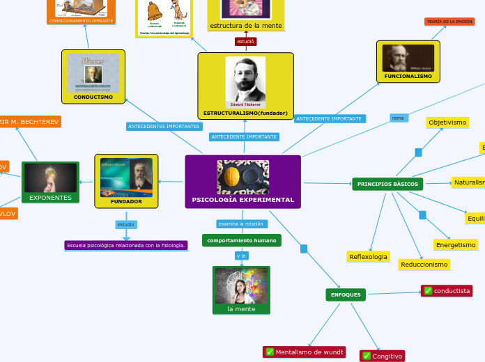 PSICOLOGÍA EXPERIMENTAL - Mind Map