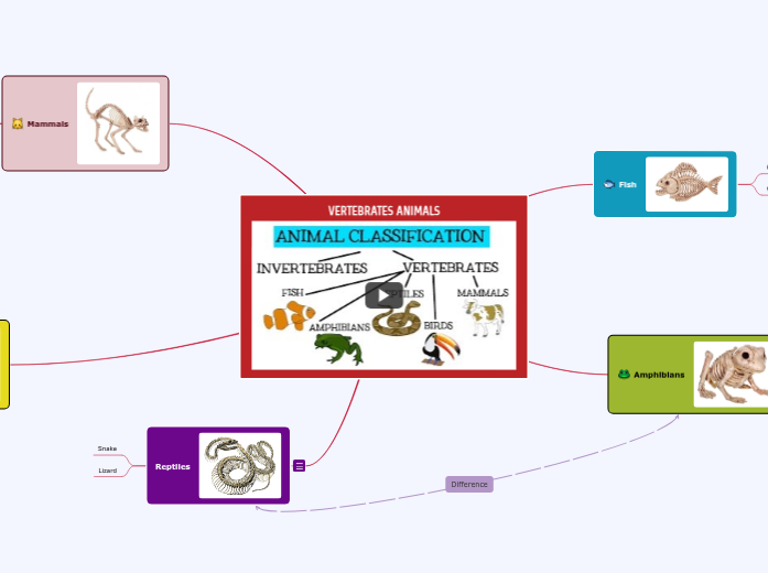 Vetebrate animals - Mind Map