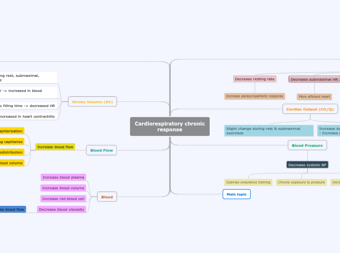 Cardiorespiratory chronic response - Mind Map
