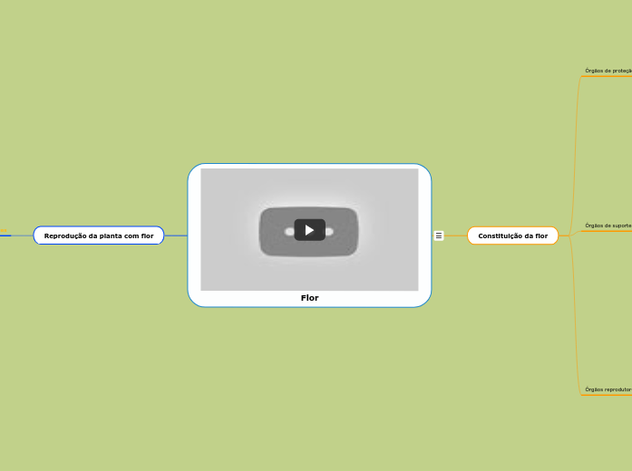 Flor - Mind Map