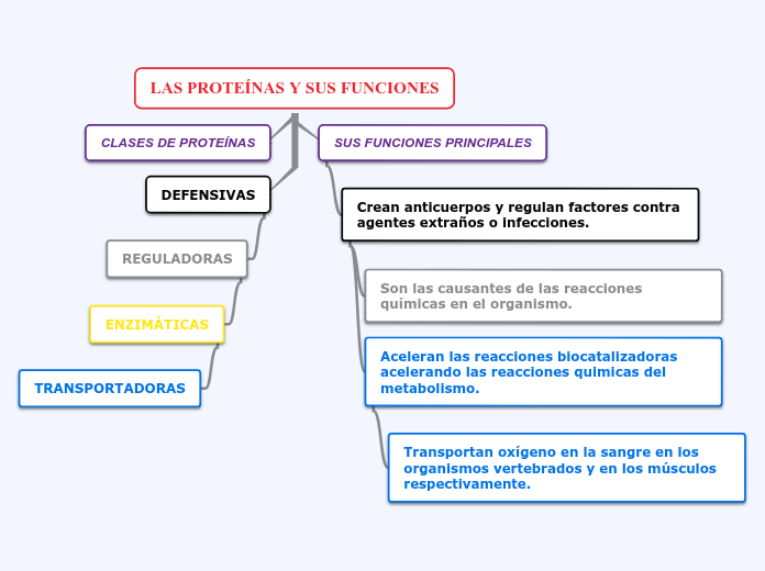 LAS PROTEÍNAS Y SUS FUNCIONES - Mind Map