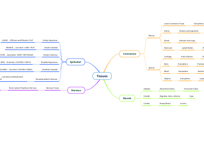 Tissues - Mind Map