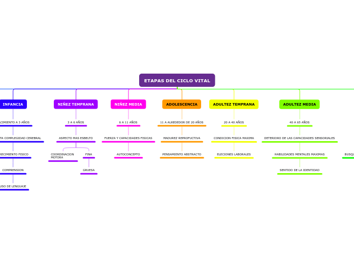 ETAPAS DEL CICLO VITAL - Mind Map