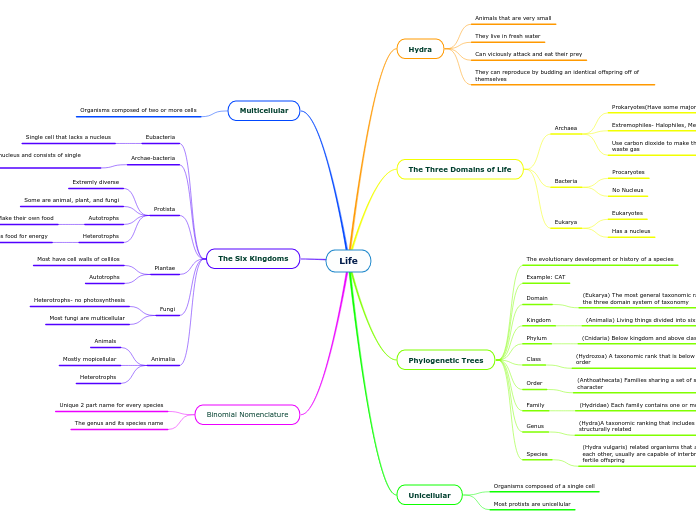 Life - Mind Map