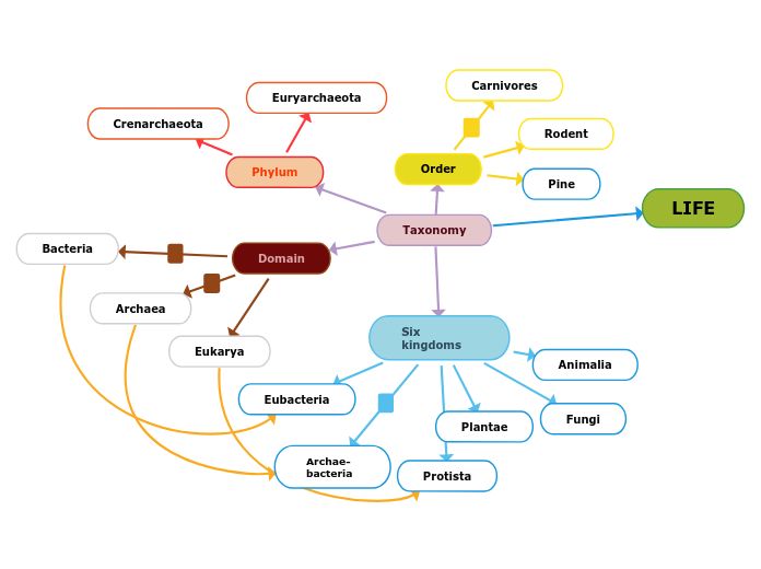 LIFE - Mind Map